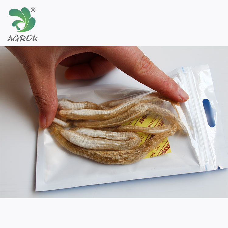 AGROK Freeze Dried Bibi worm